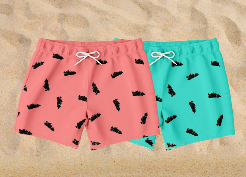 Zoom Zoom Swim Shorts – Superfan Racing Ltd